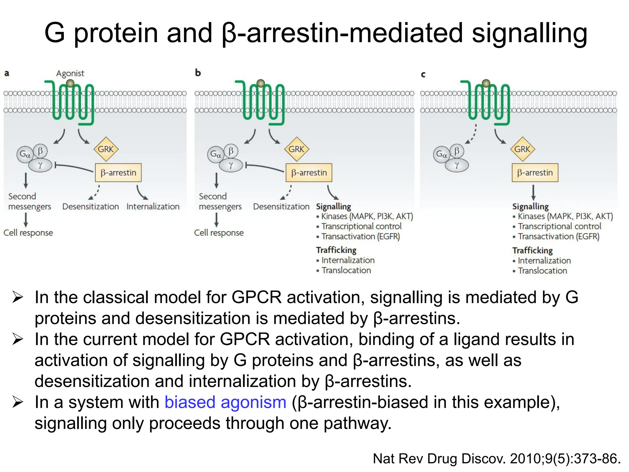 3 GPCR signaling.pdfG-coupled receptors play a significant role in cell ...