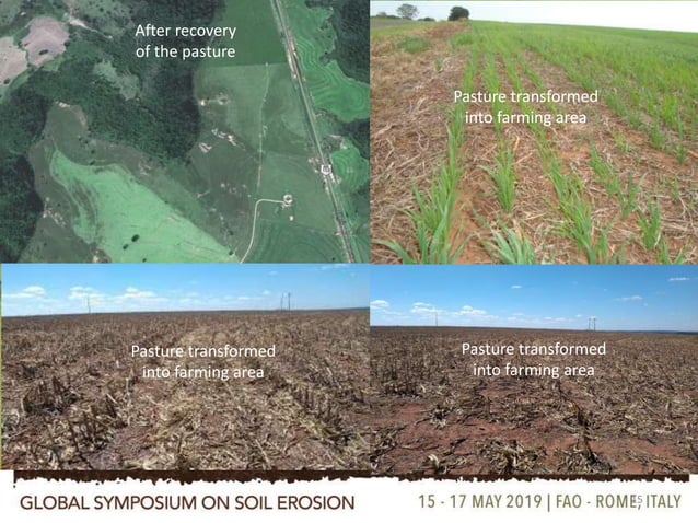 Agricultural defense of Sao Paulo: twelve years of soil preservation ...