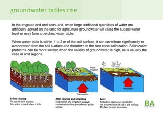 Management of salt affected soils for marginal agricultural systems | PPTX