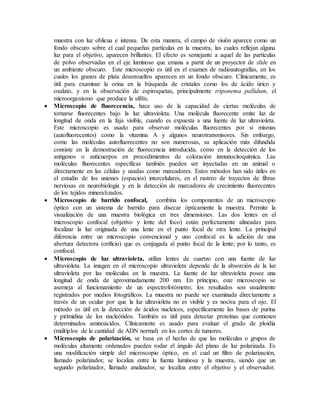 Guía de microscopia | DOC