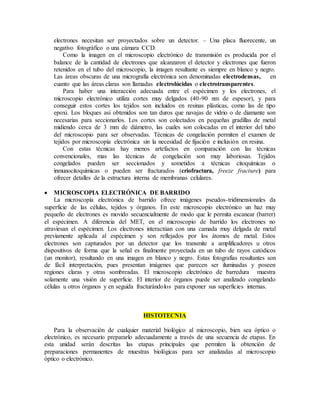 Guía de microscopia | DOC