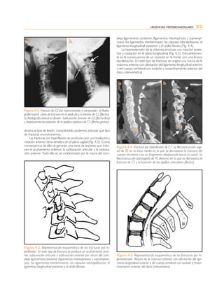 Urgencias radiologicas_Radiologia_en_Urgencias_-_seram.pdf