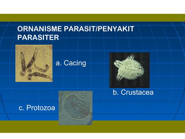 Hama dan penyakit ikan | PPT