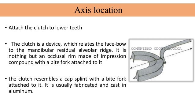 hinge axis