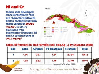 Heavy Metals Soil Evaluation in Cuba, a case study | PPT