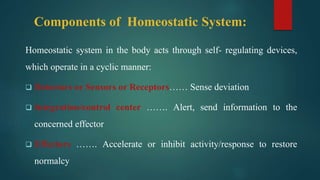 (3) Homeostatic Mechanisms.Anatomy and physiology | PPT