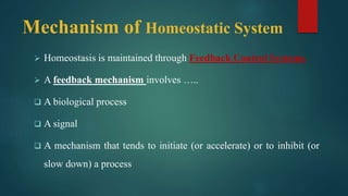 (3) Homeostatic Mechanisms.Anatomy and physiology | PPT