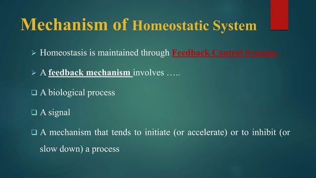 (3) Homeostatic Mechanisms.Anatomy and physiology | PPT