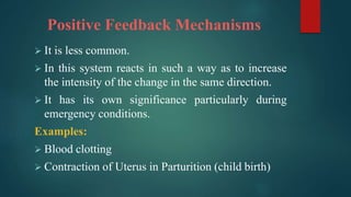 (3) Homeostatic Mechanisms.Anatomy and physiology | PPT