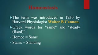 (3) Homeostatic Mechanisms.Anatomy and physiology | PPT