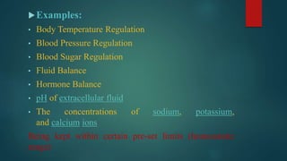 (3) Homeostatic Mechanisms.Anatomy and physiology | PPT