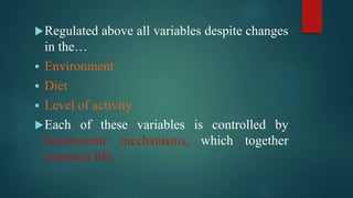 (3) Homeostatic Mechanisms.Anatomy and physiology | PPT