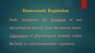 Homeostatic Mechanisms for bs nursing student | PPT