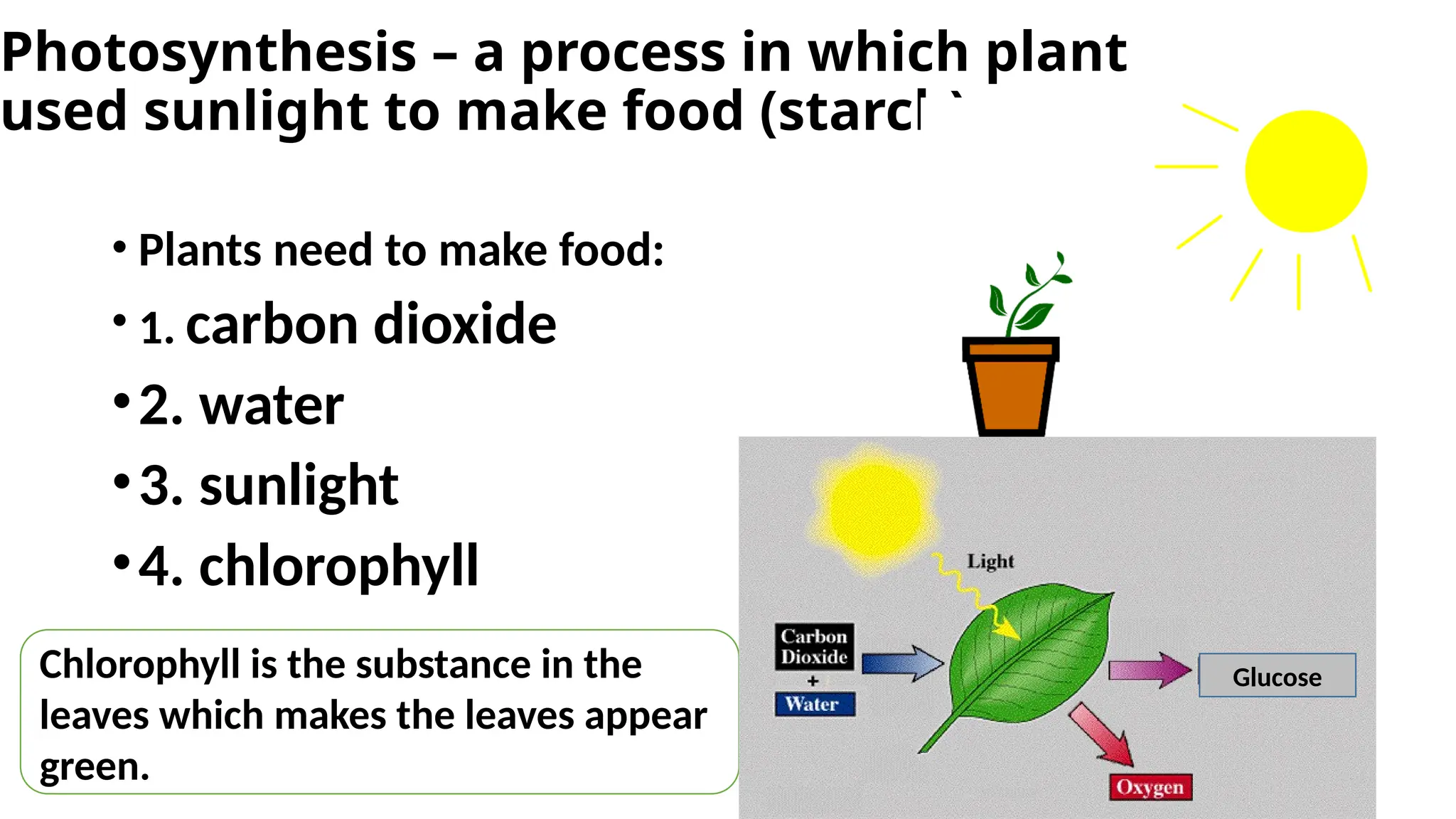 3How plants grow and photosynthesis (2).pptx