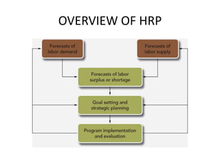hrp process | PPTX