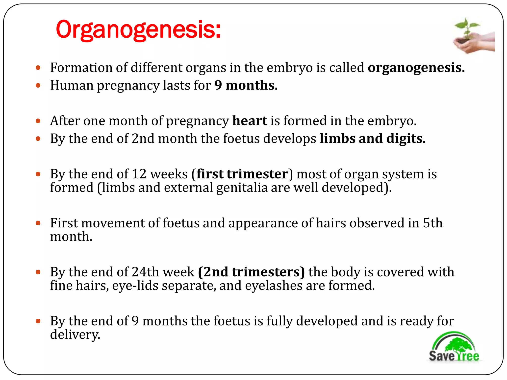 human reproduction in males and females | PDF
