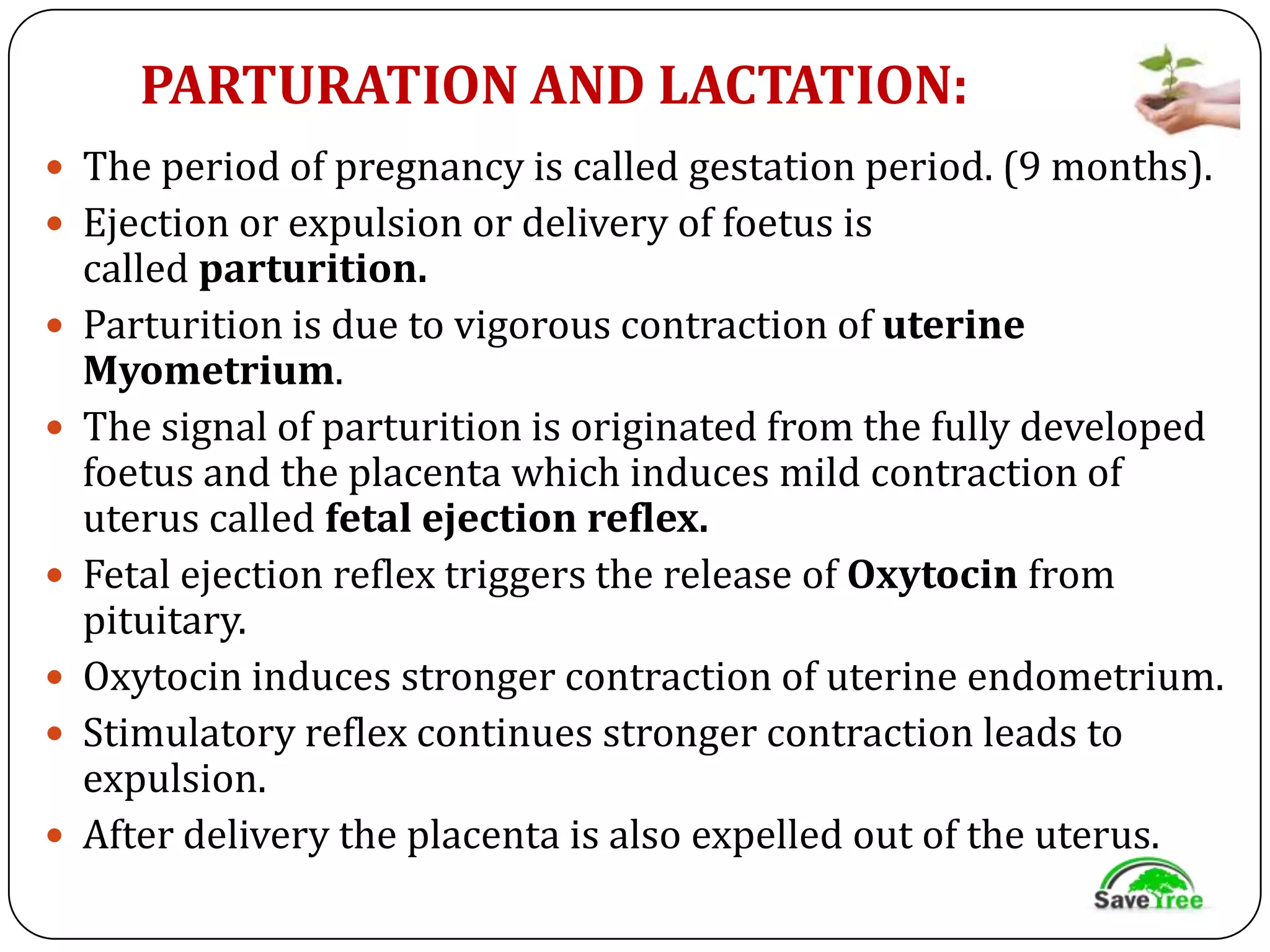 human reproduction in males and females | PDF