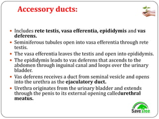 human reproduction in males and females | PDF