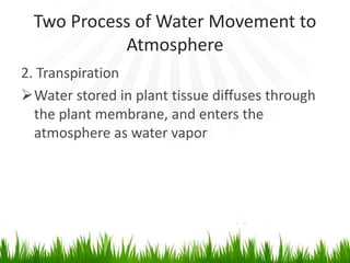 Hydrological Cycle | PPTX