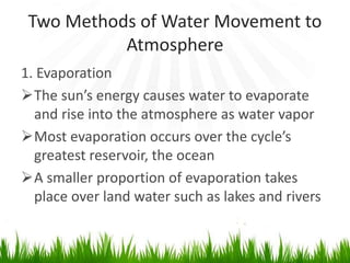 Hydrological Cycle | PPTX | Geology | Science