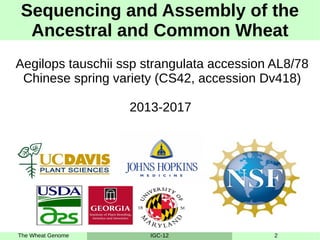 Daniela Puiu at #ICG12: The first near-complete assembly of the ...