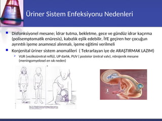 3İdrar ve İdrar İncelenmesi , İdrar Yolları Enfeksiyonları .ppt