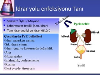 3İdrar ve İdrar İncelenmesi , İdrar Yolları Enfeksiyonları .ppt