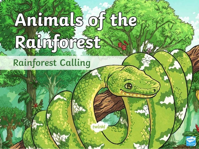 Animal_Fact_File_PowerPoint.pptx