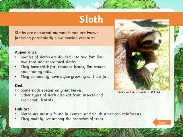 Animal_Fact_File_PowerPoint.pptx