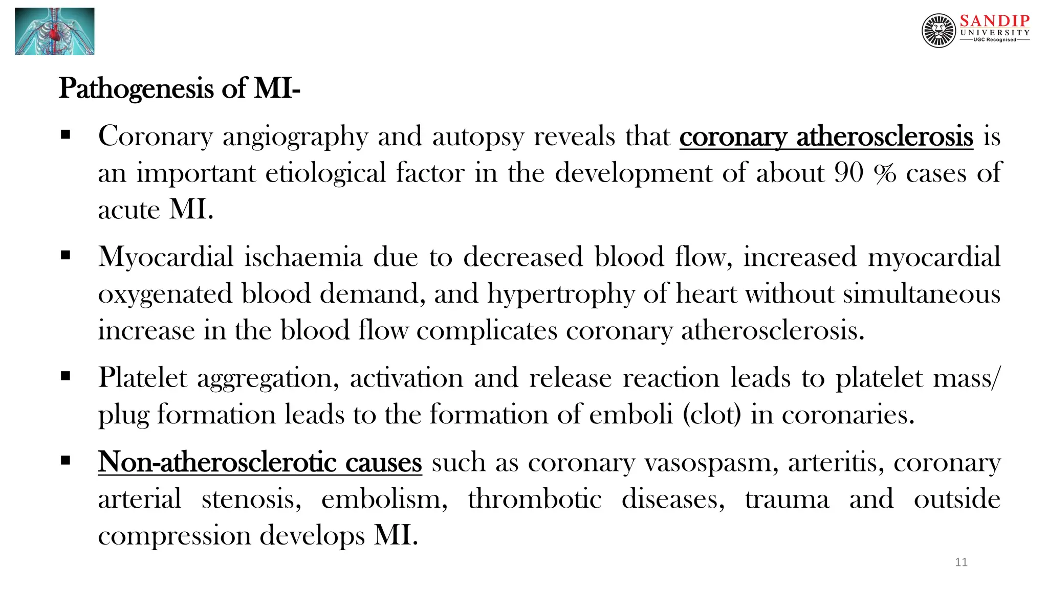 Cardiovascular Pathophysiology- Coronary Artery Disease (CAD)/Ischaemic ...