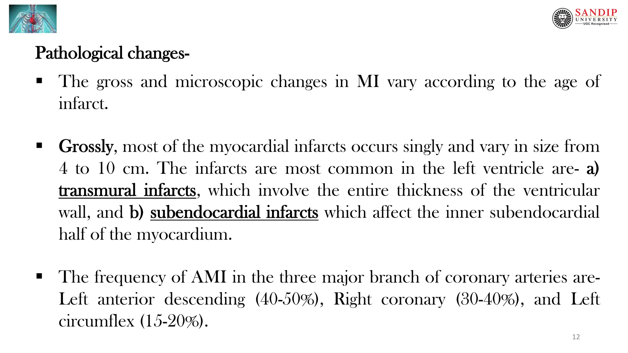 Cardiovascular Pathophysiology- Coronary Artery Disease (CAD)/Ischaemic ...