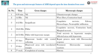 Cardiovascular Pathophysiology- Coronary Artery Disease (CAD)/Ischaemic ...