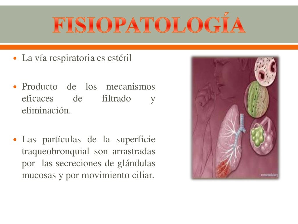 Infección De Vías Respiratorias Bajas