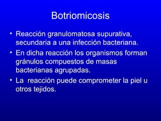 3 infecciones bacterianas ii | PPT