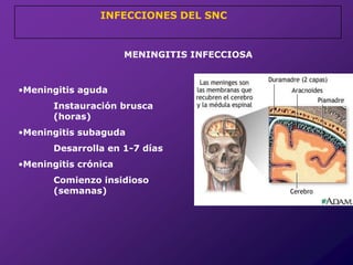 3 infecciones del snc | PPTX
