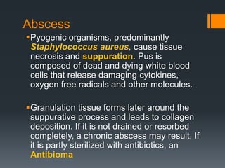 3 infection part 1 | PPTX | Infectious Diseases | Diseases and Conditions