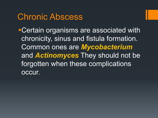 3 infection part 1 | PPTX | Infectious Diseases | Diseases and Conditions