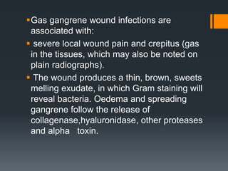 3 infection part 1 | PPTX | Infectious Diseases | Diseases and Conditions