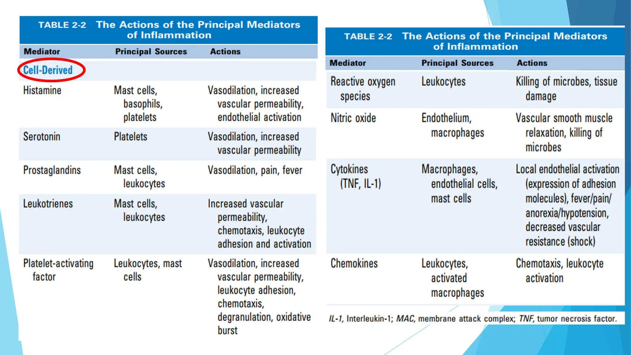 3_Inflamasi akut - BMS5 18 Februari 2025.pdf