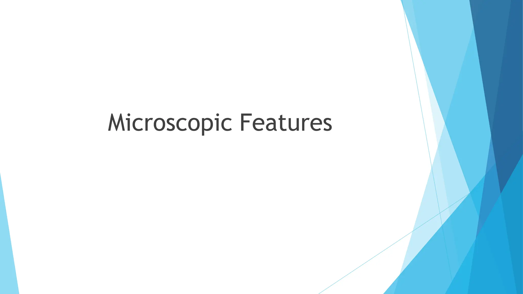 3_Inflamasi akut - BMS5 18 Februari 2025.pdf