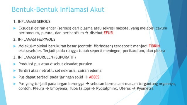 3_Inflamasi akut - BMS5 18 Februari 2025.pdf