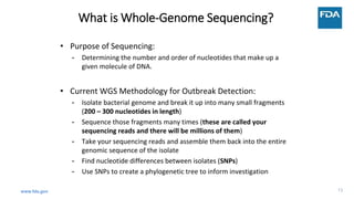 Food Safety and Soil Health: an US Food and Drug Administration (FDA ...