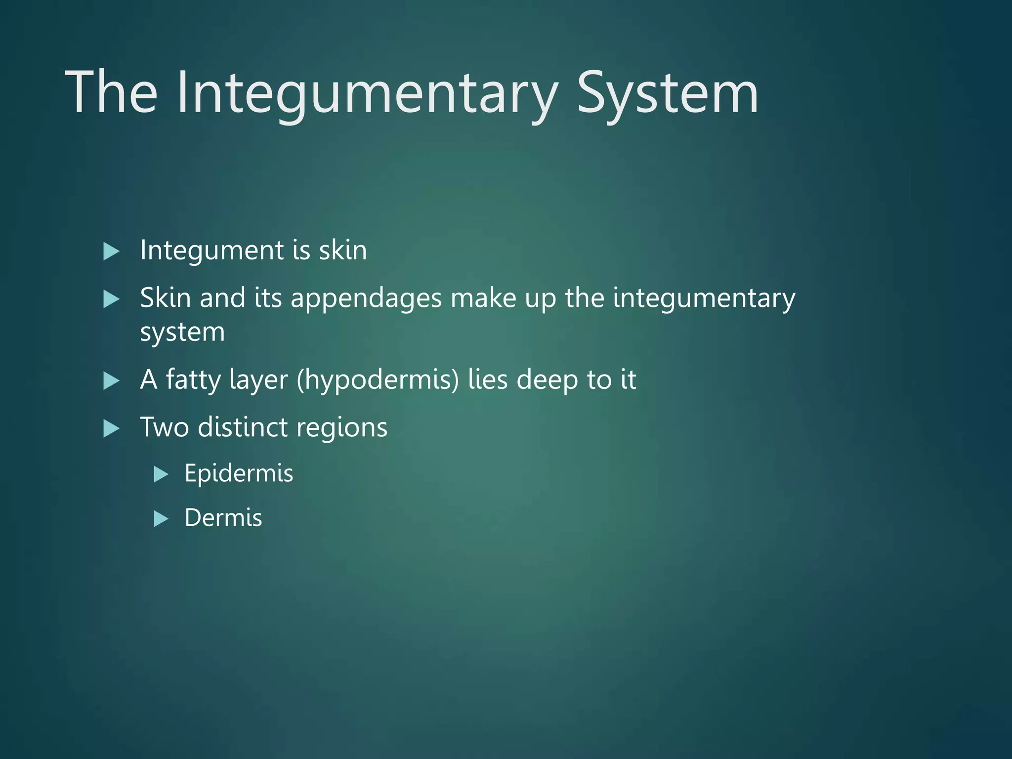 3 Integumentary_System.ppt
