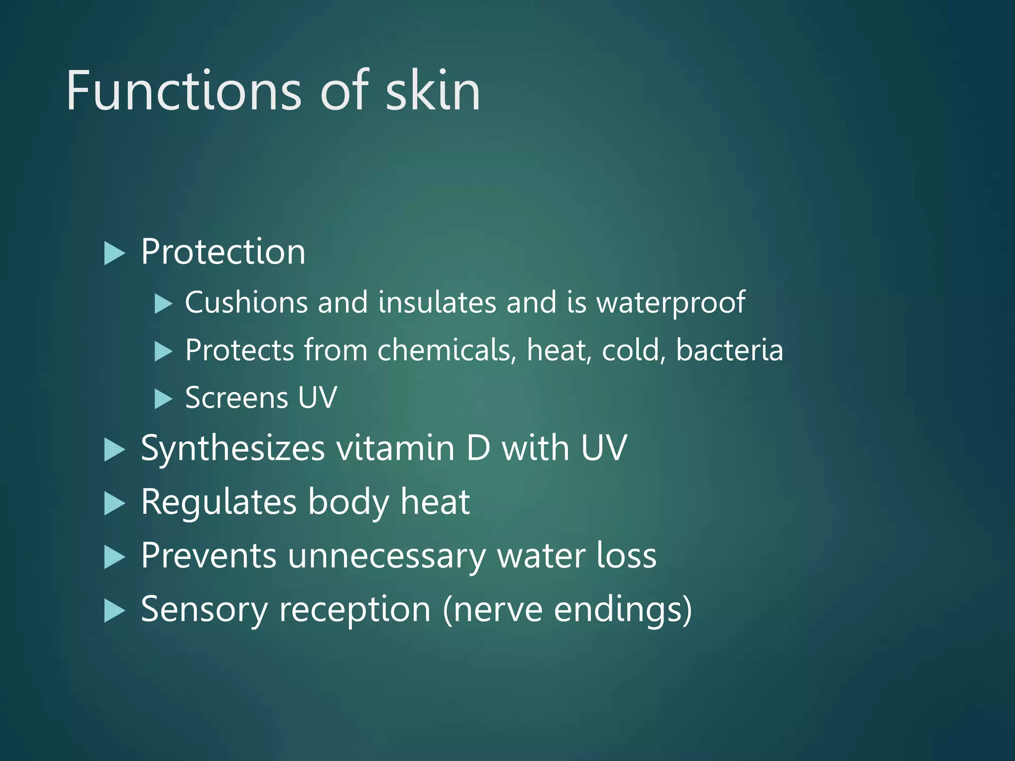 3 Integumentary_System.ppt