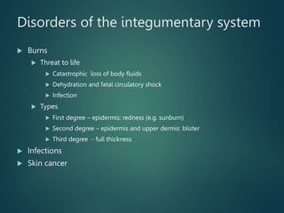 3 Integumentary_System.ppt