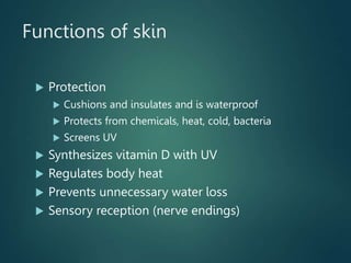 3 Integumentary_System.ppt