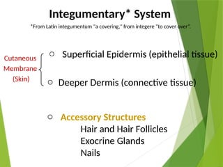 #3 Integumentary System BY DR. SADAKAT BASHIR.pptx