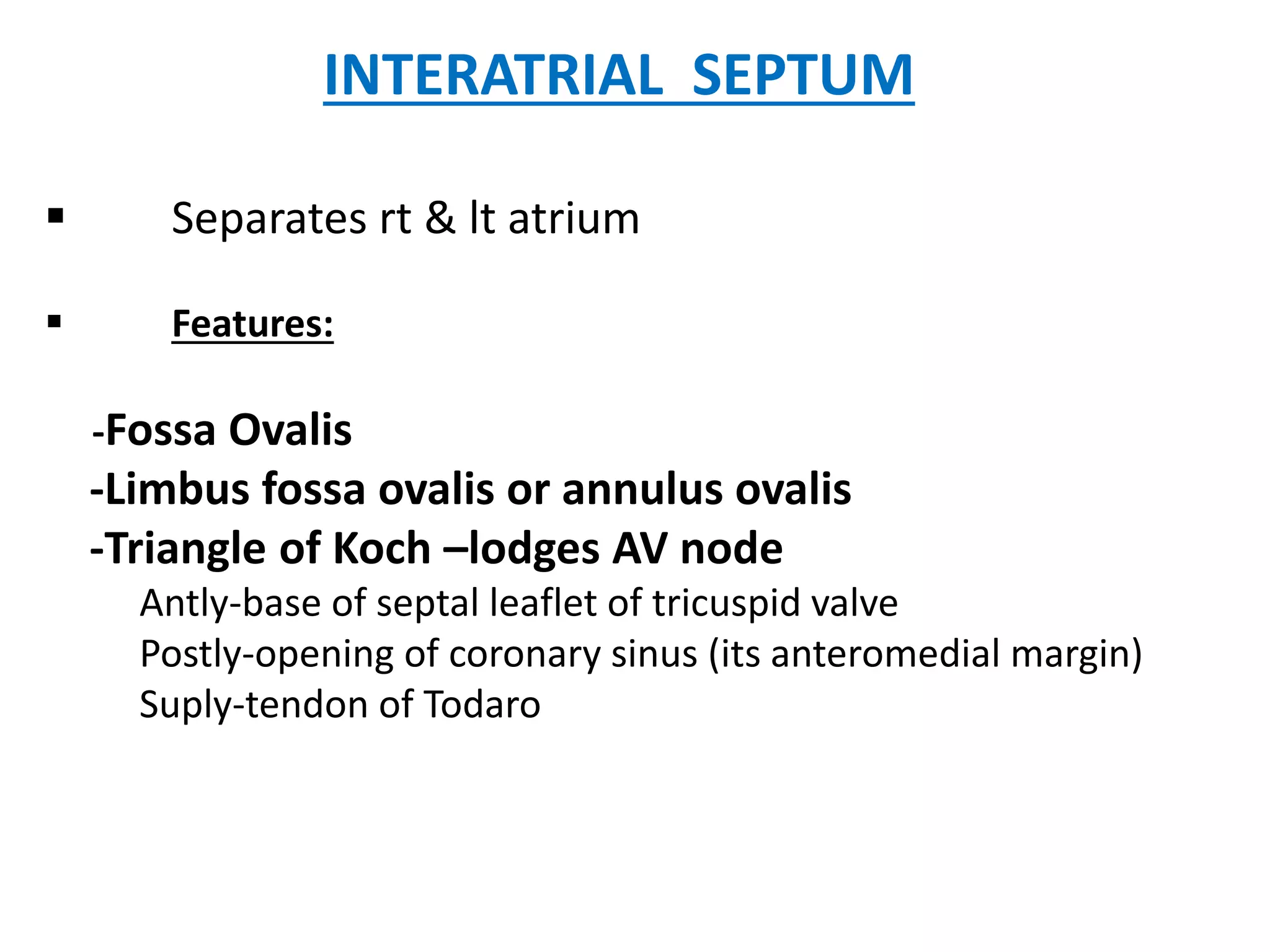 3 internal features of the heart | PPTX
