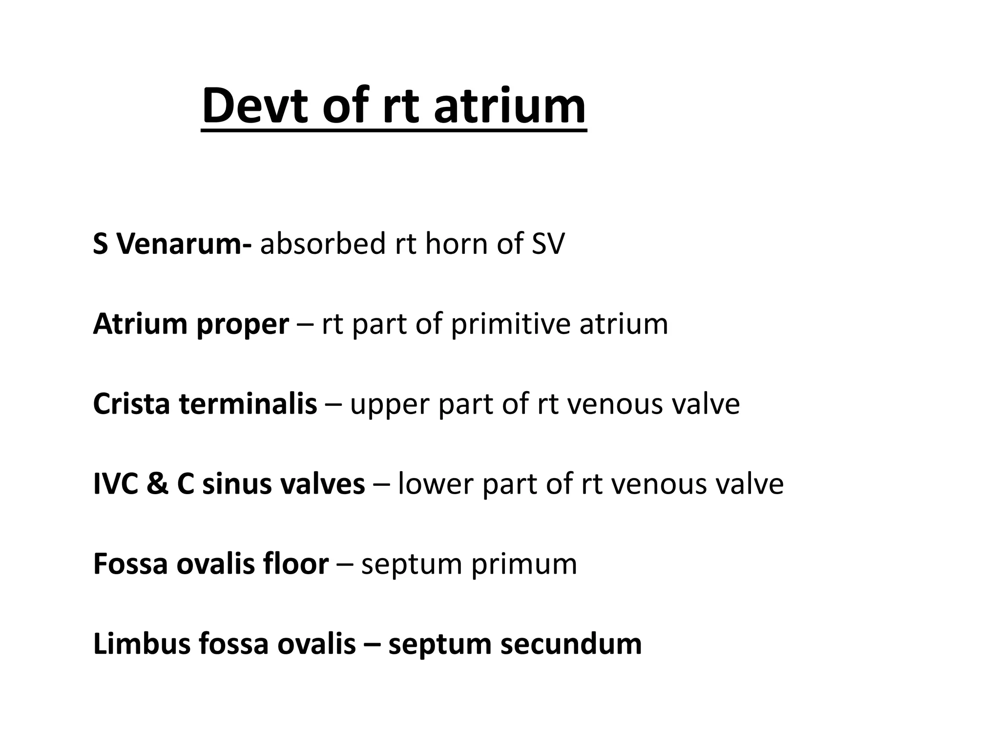 3 internal features of the heart | PPTX