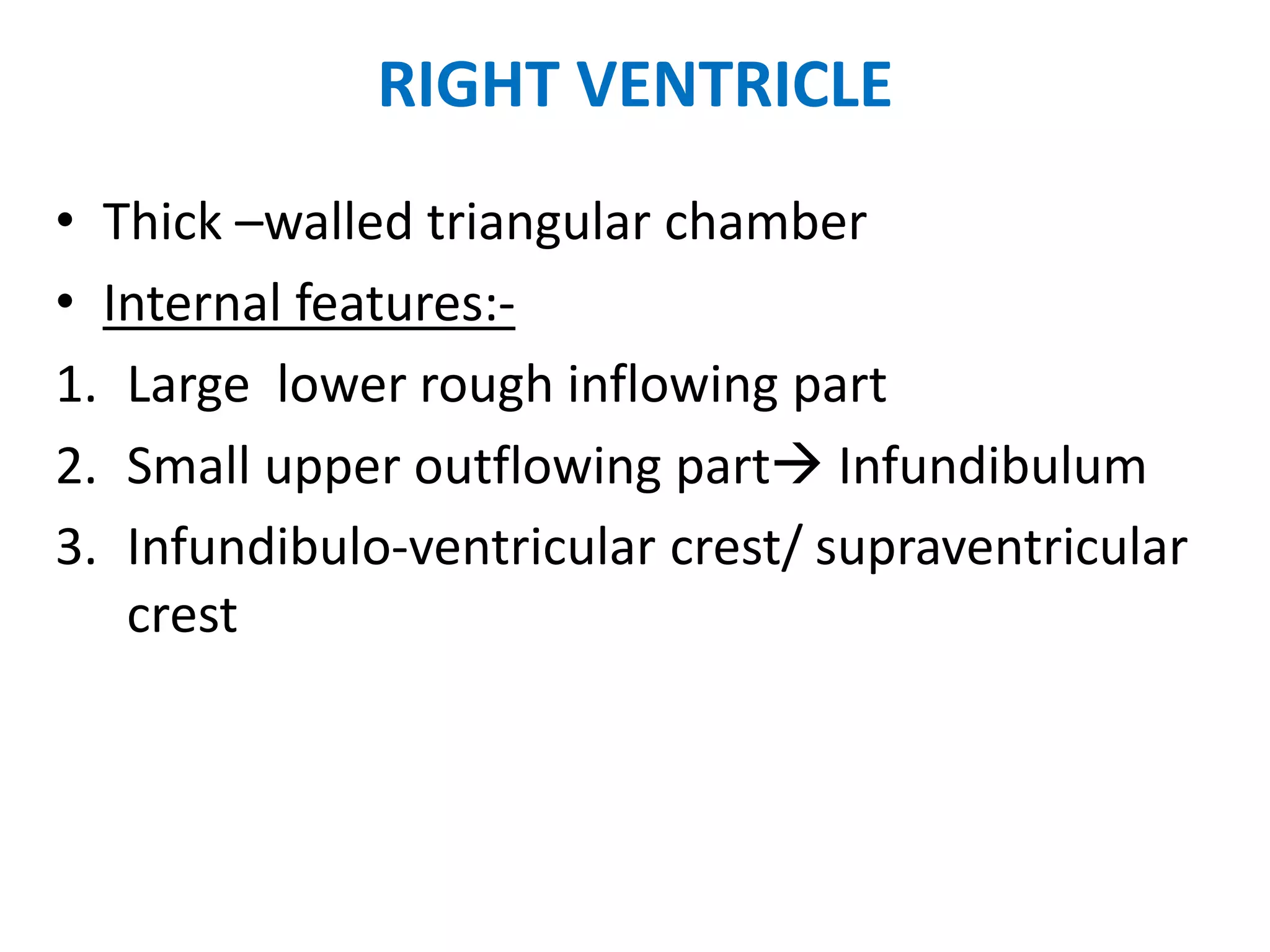 3 internal features of the heart | PPTX